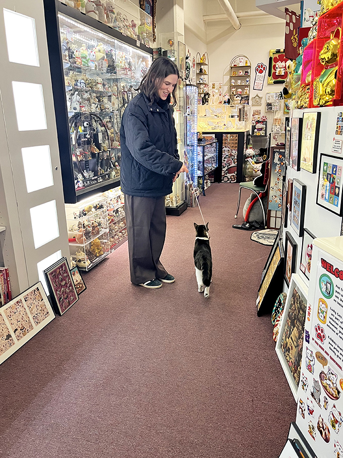 The museum occasionally hosts real cats who seem suspiciously unimpressed by their thousands of waving counterparts. Art critics are everywhere these days!