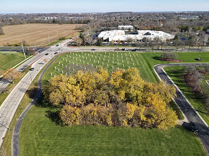 From above, the precise grid of concrete corn creates a striking pattern against the landscape&mdash;agricultural roots preserved in an artistic time capsule. 