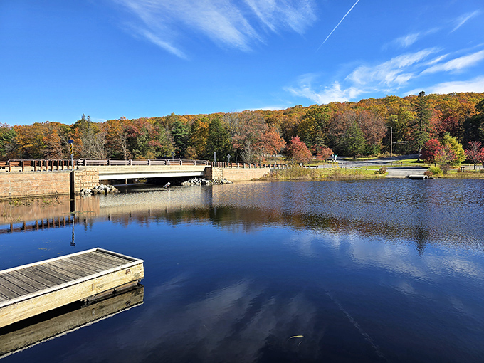 Fall transforms Black Moshannon into nature's fashion show, where trees compete for who wore autumn best while the lake serves as their runway mirror.