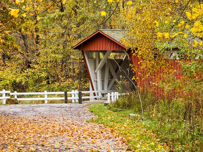 Fall's golden palette complements the bridge's rustic red. Like finding the perfect wine pairing, some combinations just make everything better.