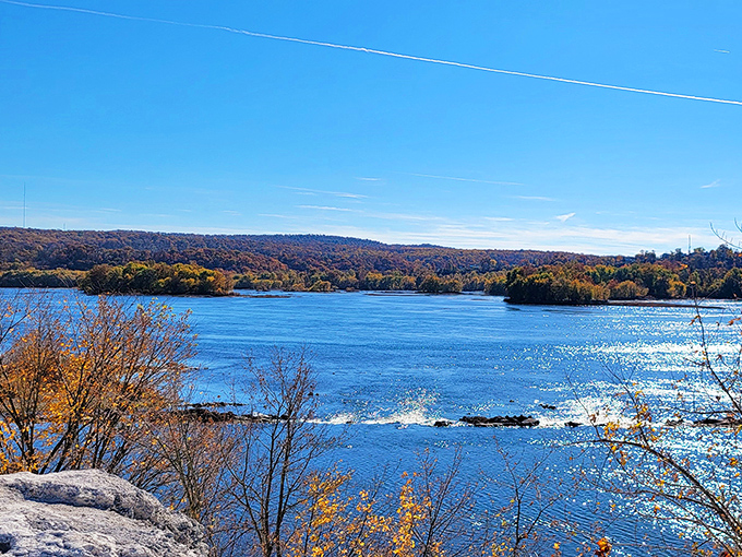 Autumn paints the perfect frame around these white cliffs, creating a masterpiece that rivals any museum collection.