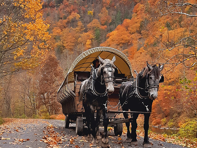 Autumn transforms the trail into a painting come to life. Forget leaf-peeping from your car&mdash;this is how fall foliage was meant to be experienced.