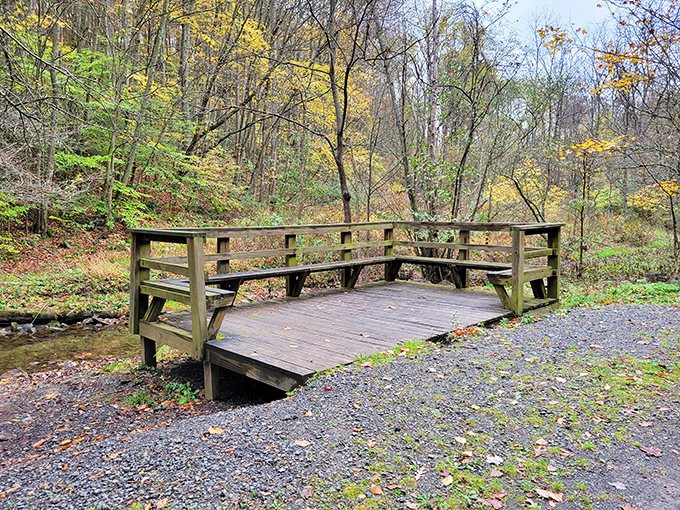 A simple wooden observation deck becomes a front-row seat to autumn's most spectacular performance&mdash;no tickets required, standing ovations encouraged. 