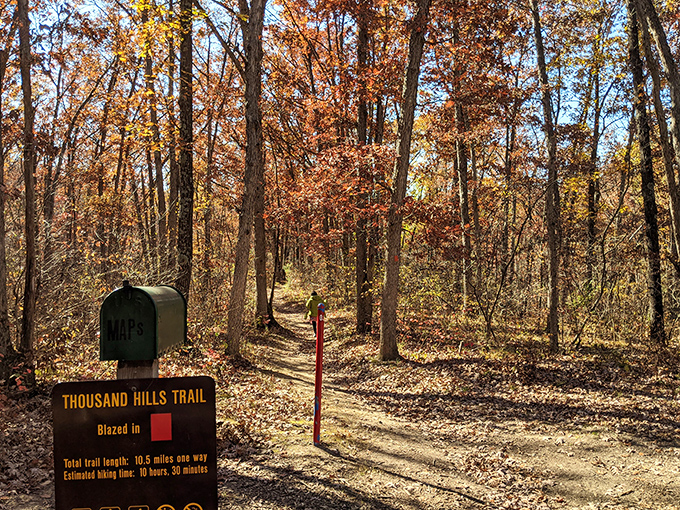 Fall hiking trails dressed in their autumn best&mdash;nature's version of putting out the fancy linens when company comes over.