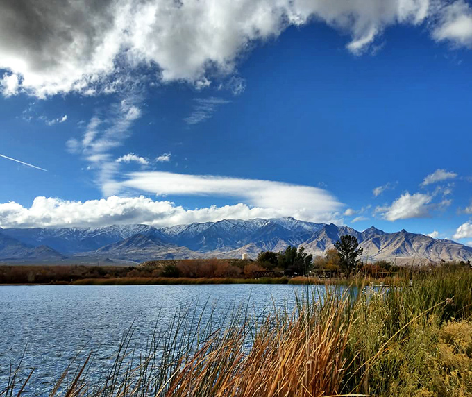 Winter's touch brings snow-capped drama to the mountains while the pond below remains serene – Arizona's version of a winter wonderland.