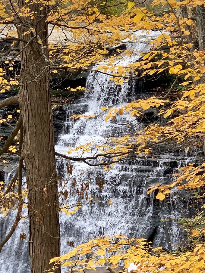 Fall foliage frames the falls in golden splendor. It's like nature decided to put its masterpiece in a custom-made frame.