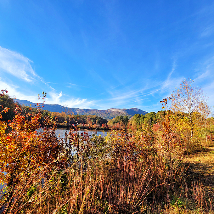 Fall's color palette on full display. When autumn hits Table Rock, the landscape transforms into a canvas that would make Bob Ross reach for his brushes.