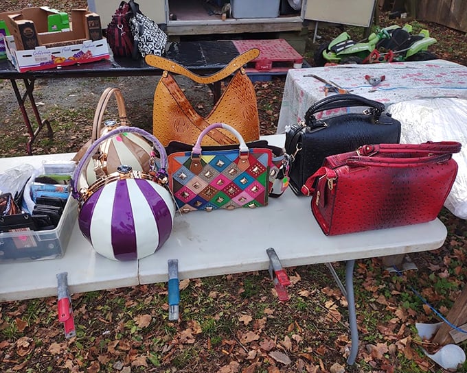 Handbag paradise where vintage meets vibrant! Each purse whispers tales of fancy dinners, shopping sprees, and the lipsticks that once lived inside.