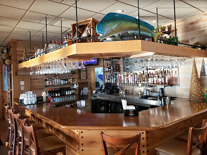 A bar that understands its mission: cold drinks, warm atmosphere, and a mounted fish to remind you where your dinner originated.