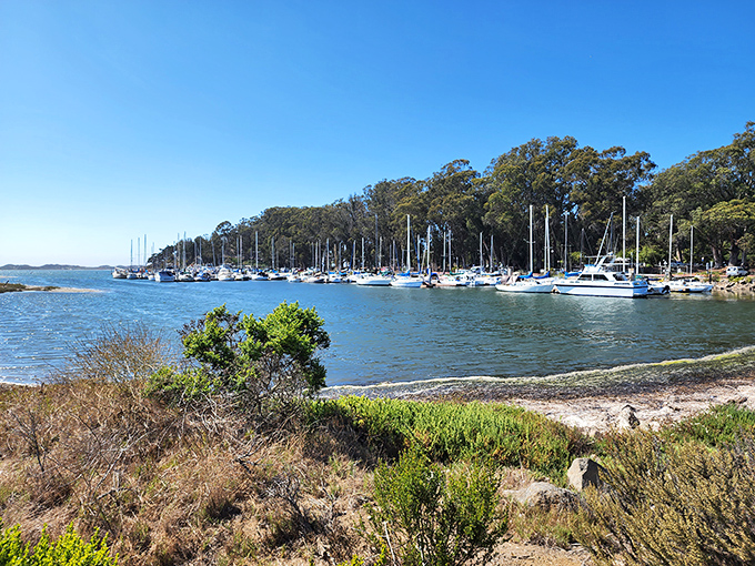 A flotilla of sailboats bobs gently in the protected harbor, each vessel holding stories of adventures beyond the breakwater.
