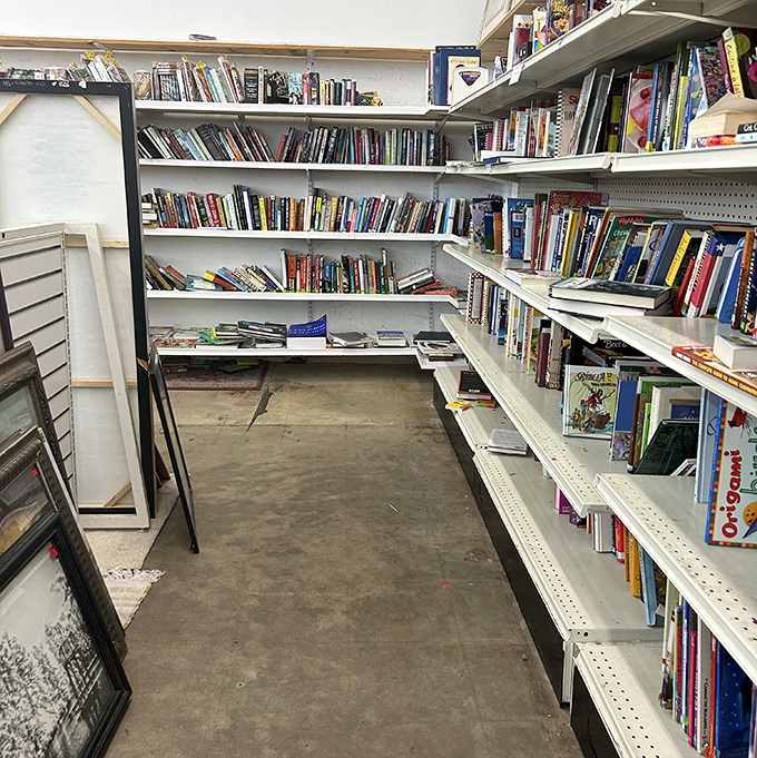 Books stack like literary gold mines, where knowledge costs less than your morning coffee and lasts infinitely longer.