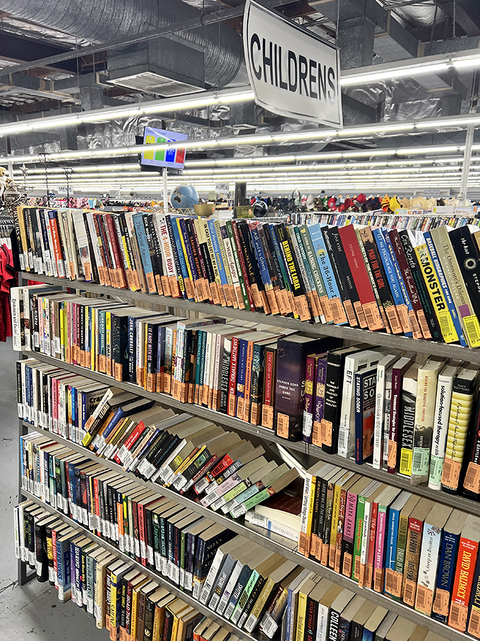 A bibliophile's dream where bestsellers mingle with forgotten classics, all patiently waiting for their next chapter in someone's home.
