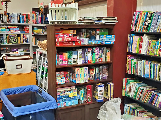 The book and game section: intellectual treasure hunting at its finest. Find your next literary adventure nestled between forgotten bestsellers and childhood classics.