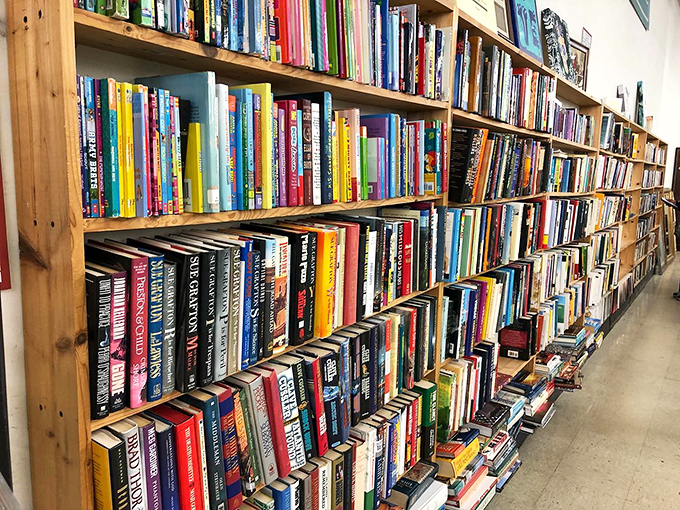 A library where every book costs less than a cup of coffee. These shelves hold forgotten bestsellers and hidden literary gems alike.
