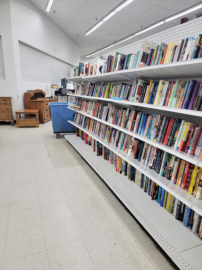 Bookworms, rejoice! These shelves hold forgotten bestsellers and hidden gems alike, all priced less than your morning latte.