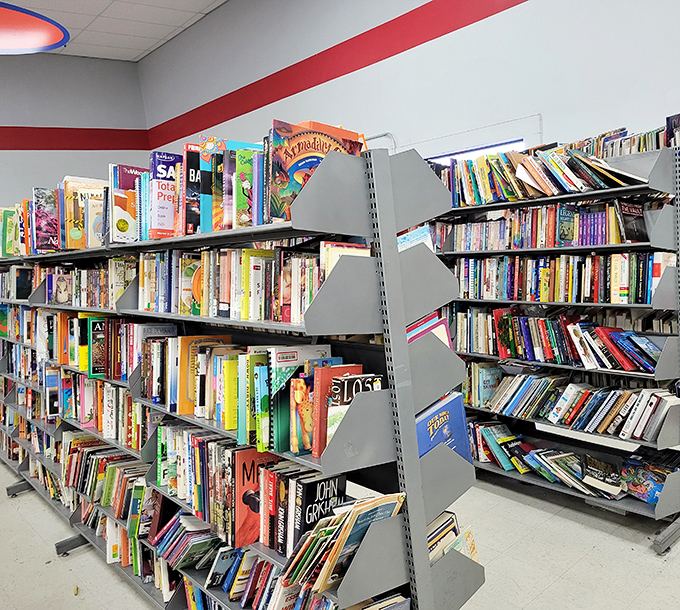 The book section: where forgotten bestsellers and quirky titles find new life, waiting to fill your summer reading list.