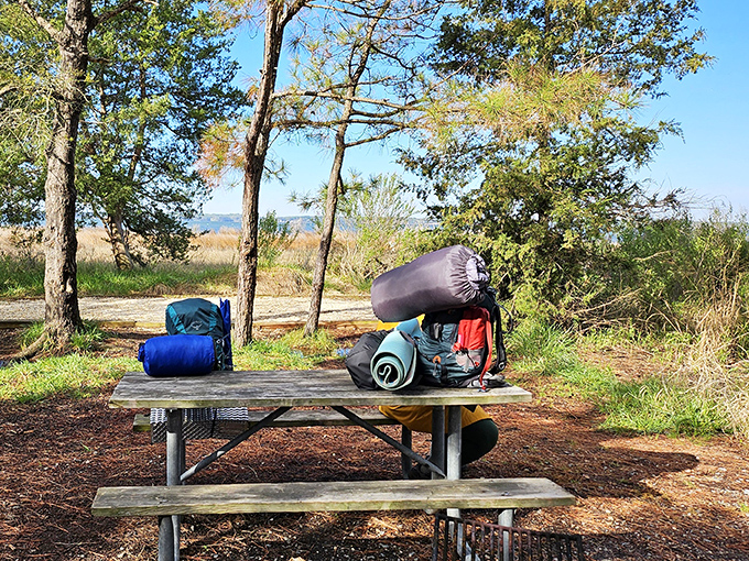 Camping gear awaits its next adventure, proving that the best outdoor accessories aren't always high-tech – sometimes they're just comfortable.