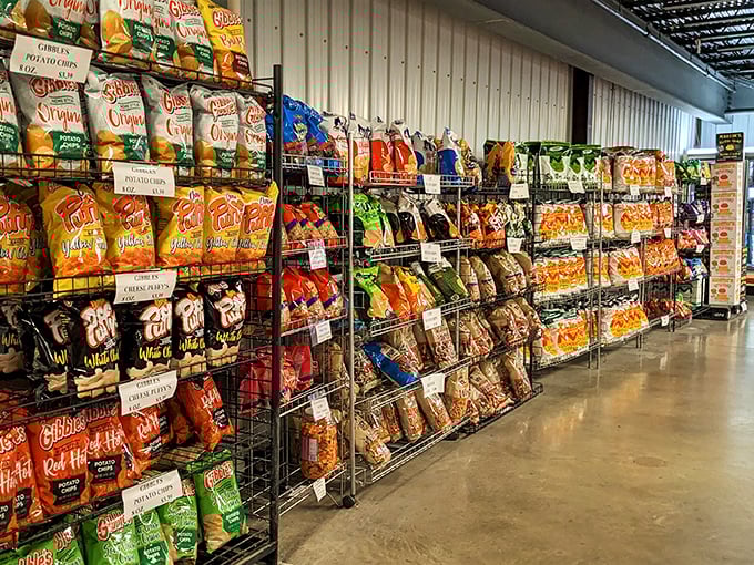 Chip paradise! Every crunch, flavor, and texture imaginable, arranged like a snack food library waiting to be checked out.