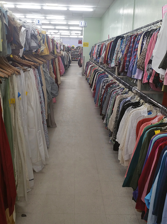 Aisles that stretch like runways of possibility, where yesterday's fashion finds new life and new admirers.