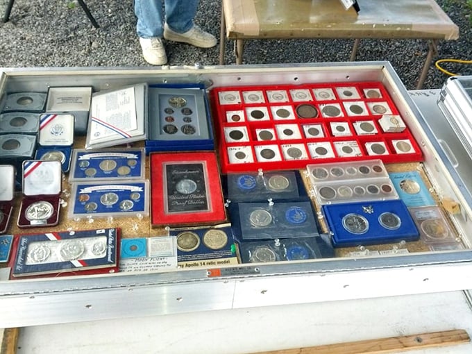 Numismatist nirvana! These carefully preserved coins and commemorative sets represent history you can hold in your hand&mdash;and potentially invest in.