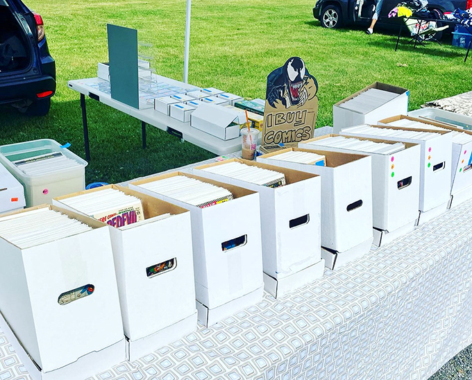 Comic book boxes await superhero enthusiasts who understand that these illustrated treasures are both childhood memories and potential college funds.