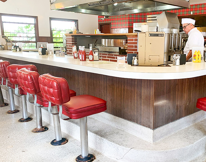 The counter seating isn't just practical—it's theater-in-the-round where you can watch culinary choreography that's been perfected over decades.
