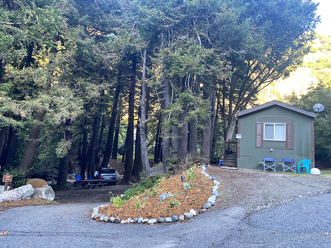 A cozy forest cabin nestled among towering redwoods &ndash; like something from a storybook, but with satellite TV.