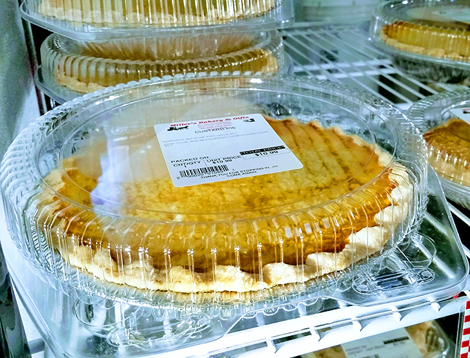 Custard pies lined up like golden treasures, proving that some things never go out of style.