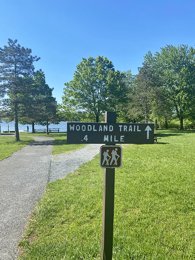 "Woodland Trail, 0.4 Mile" – the sign promises a manageable adventure, but doesn't mention the immeasurable peace you'll find along the way.