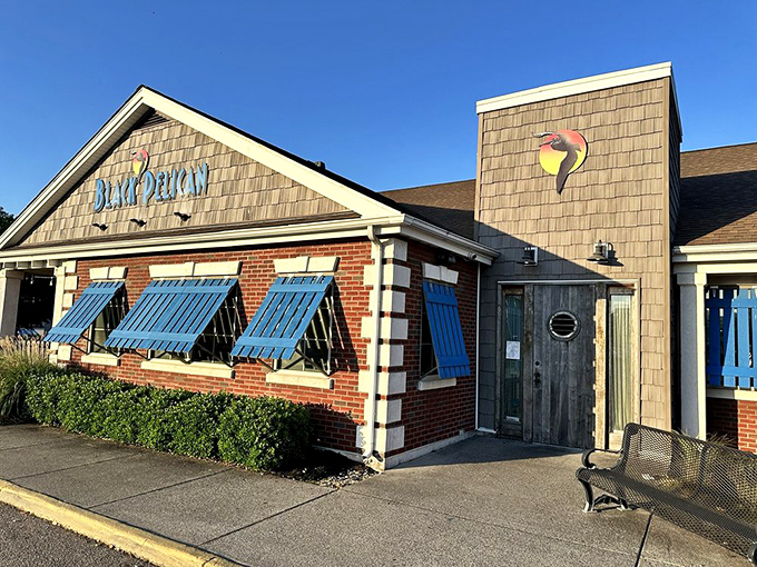 Blue awnings and weathered wood create that perfect "I've discovered something special" feeling before you even step inside.