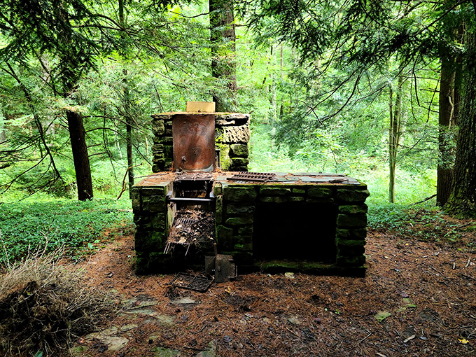Stone structures blend seamlessly into the woodland like they've been here since time began.