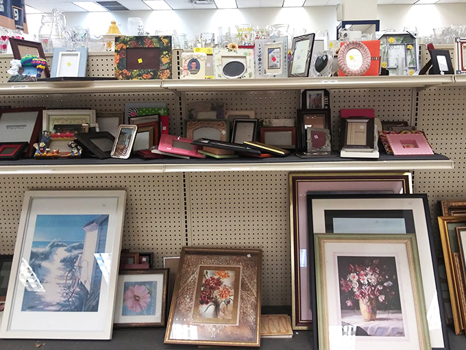Picture frames create an art gallery of possibilities, ready to showcase your most treasured photographic memories.