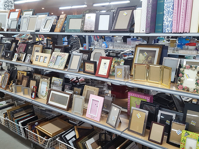 Picture frames galore! Because every thrift store knows your memories deserve better than sitting trapped in your phone gallery.