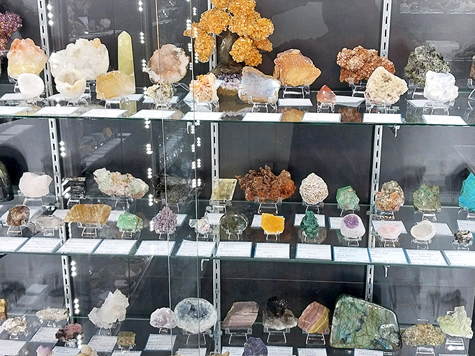 Nature's jewelry box&mdash;these mineral specimens showcase Earth's artistic side with colors and formations that outshine any human-made creation.