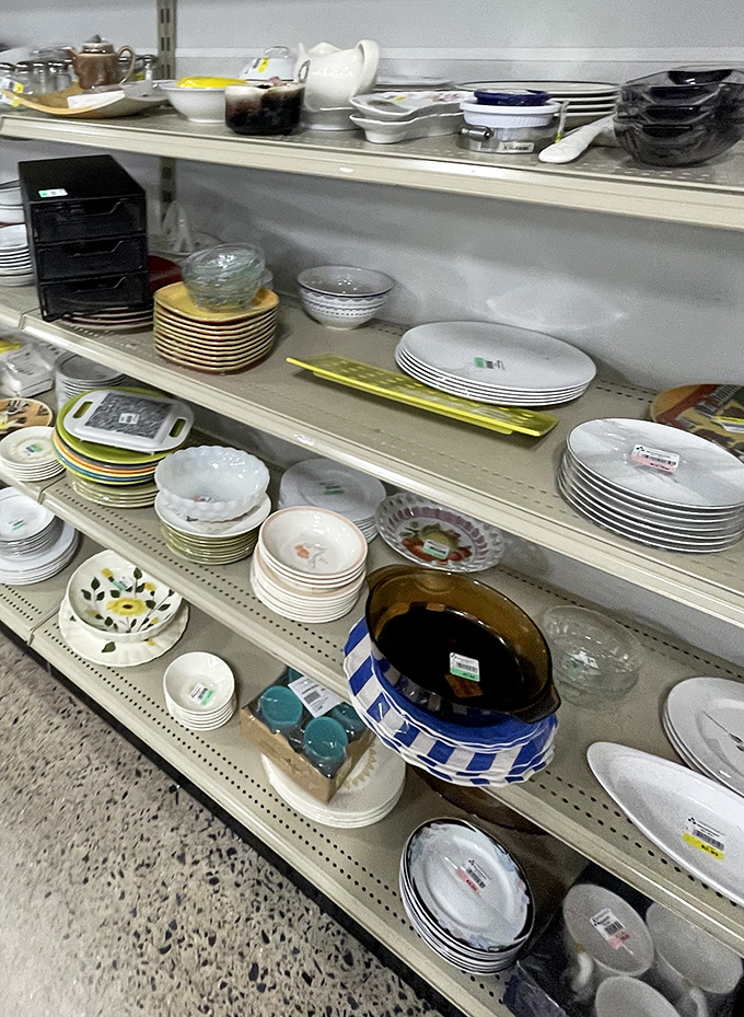 Dinner party on a budget? These shelves of plates, bowls and serving pieces could outfit a gourmet kitchen without the Williams-Sonoma price tag.