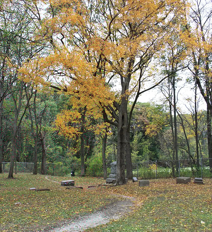 Fall's golden sentinel stands guard over scattered markers. The cemetery takes on a melancholy beauty that photographers and poets equally appreciate.