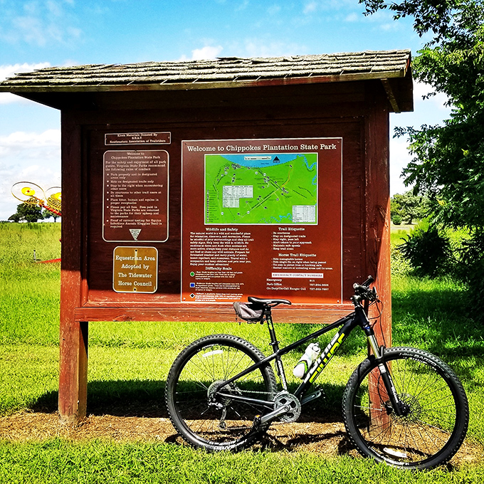 Every great adventure begins with a map and a bike. This weathered information board has guided countless explorers through Chippokes' historical treasures.
