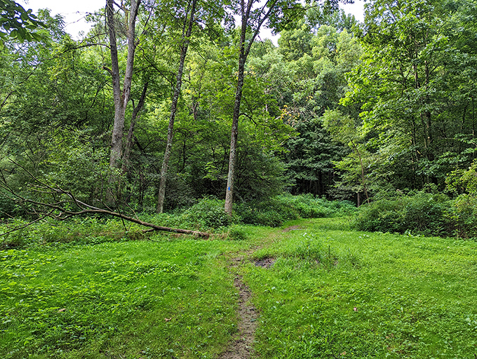Trail markers that actually make sense - a refreshing change from life's usual confusing directions.