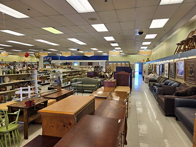 Wide aisles and clear organization make treasure hunting a pleasure rather than a chore. No Indiana Jones machete required here!