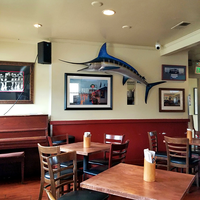 The mounted marlin watching over diners like a benevolent sea god, presiding over countless first dates, anniversary dinners, and "I just got fired" consolation meals.
