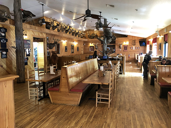 The dining room where calories don't count and antlers watch over your feast. Wood paneling hasn't looked this good since 1970s basement rec rooms.