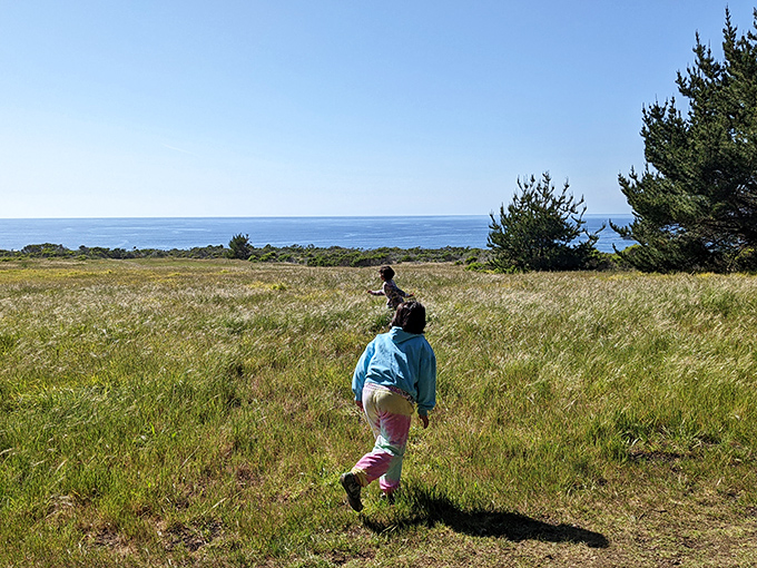 The journey through coastal meadows creates anticipation that makes the beach reveal all the sweeter&mdash;nature's version of a drumroll.