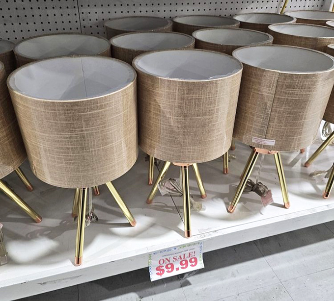 Lighting solutions that brighten both rooms and moods. These lamps deliver style without the boutique shop sticker shock.