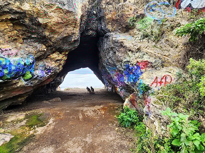 Street art meets nature's gallery in this sea cave passage &ndash; proof that even graffiti looks better with an ocean backdrop.