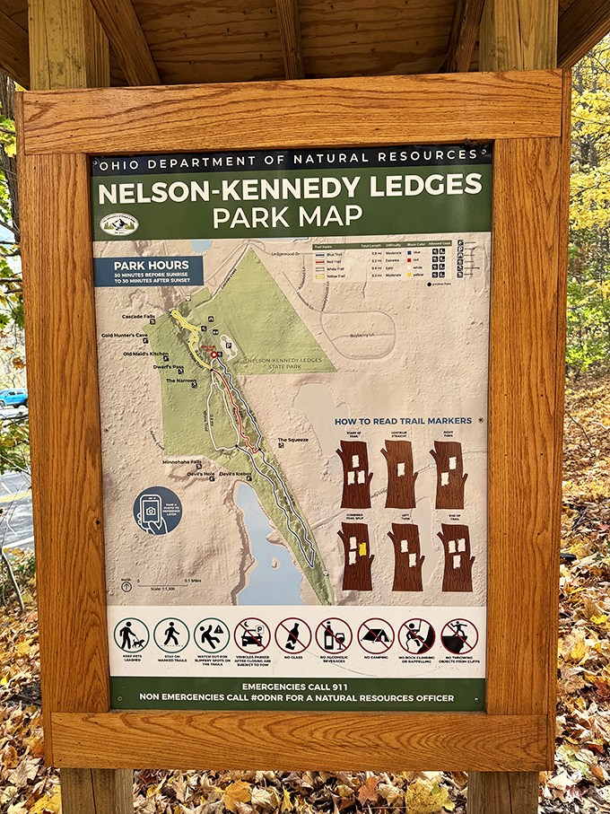 The treasure map to adventure! This trail guide promises colored paths to discovery, though the real treasures aren't marked with X's but with moments of awe.