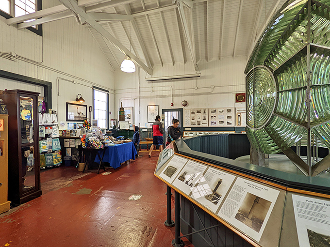 Inside the museum, maritime history comes alive around the spectacular lens. It's like stepping into a seafaring time capsule with better lighting.