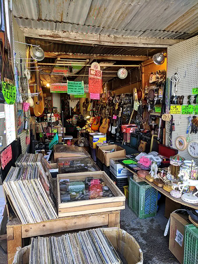 A treasure trove for music lovers where vinyl records and guitars await their next performance. One person's castoff instrument becomes another's pathway to stardom.