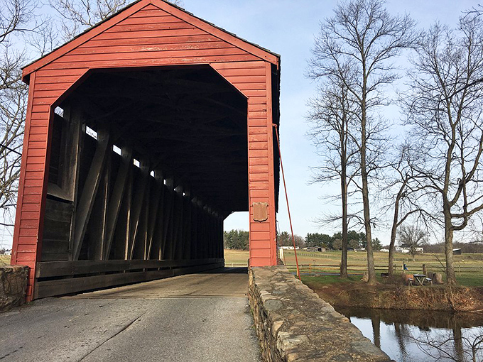 Winter strips away autumn's disguise, revealing the bridge's clean lines and purposeful design. Functionality never looked so photogenic.