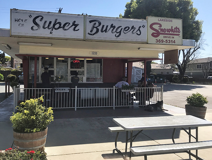 The outdoor patio at Snow White Drive-In—where picnic tables and sunshine turn every meal into an impromptu California celebration.