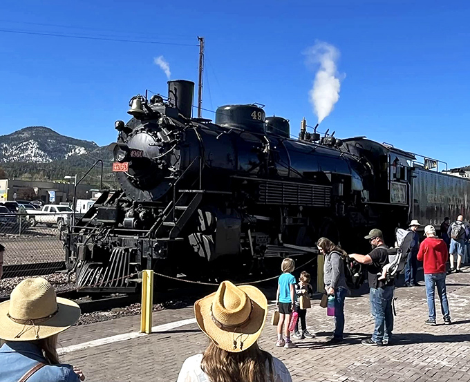 The observation platform offers the rare thrill of feeling the rhythm of the rails while desert breezes tousle your hair into vacation style.